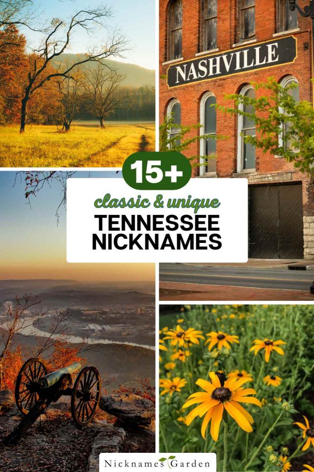 15+ Tennessee Nicknames & Their Origins!
