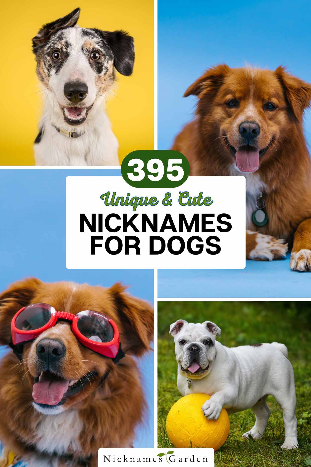 395 Creative Dog Nicknames For Every Personality!
