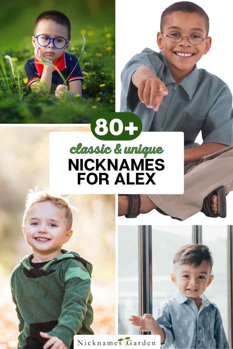 80+ Creative Nicknames For Alex