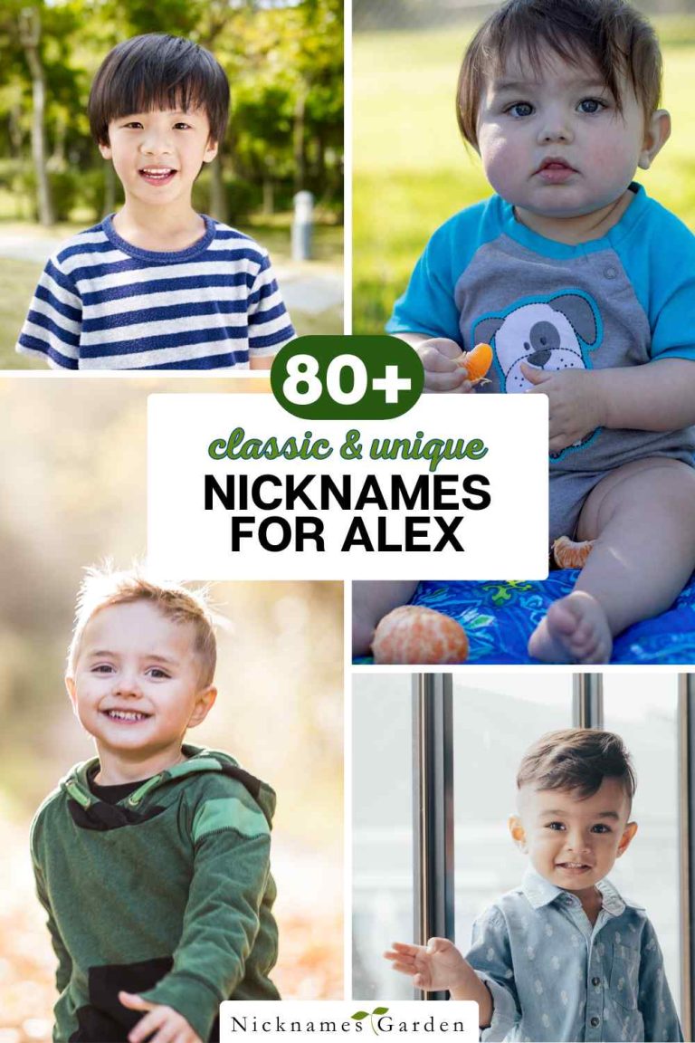80+ Creative Nicknames For Alex
