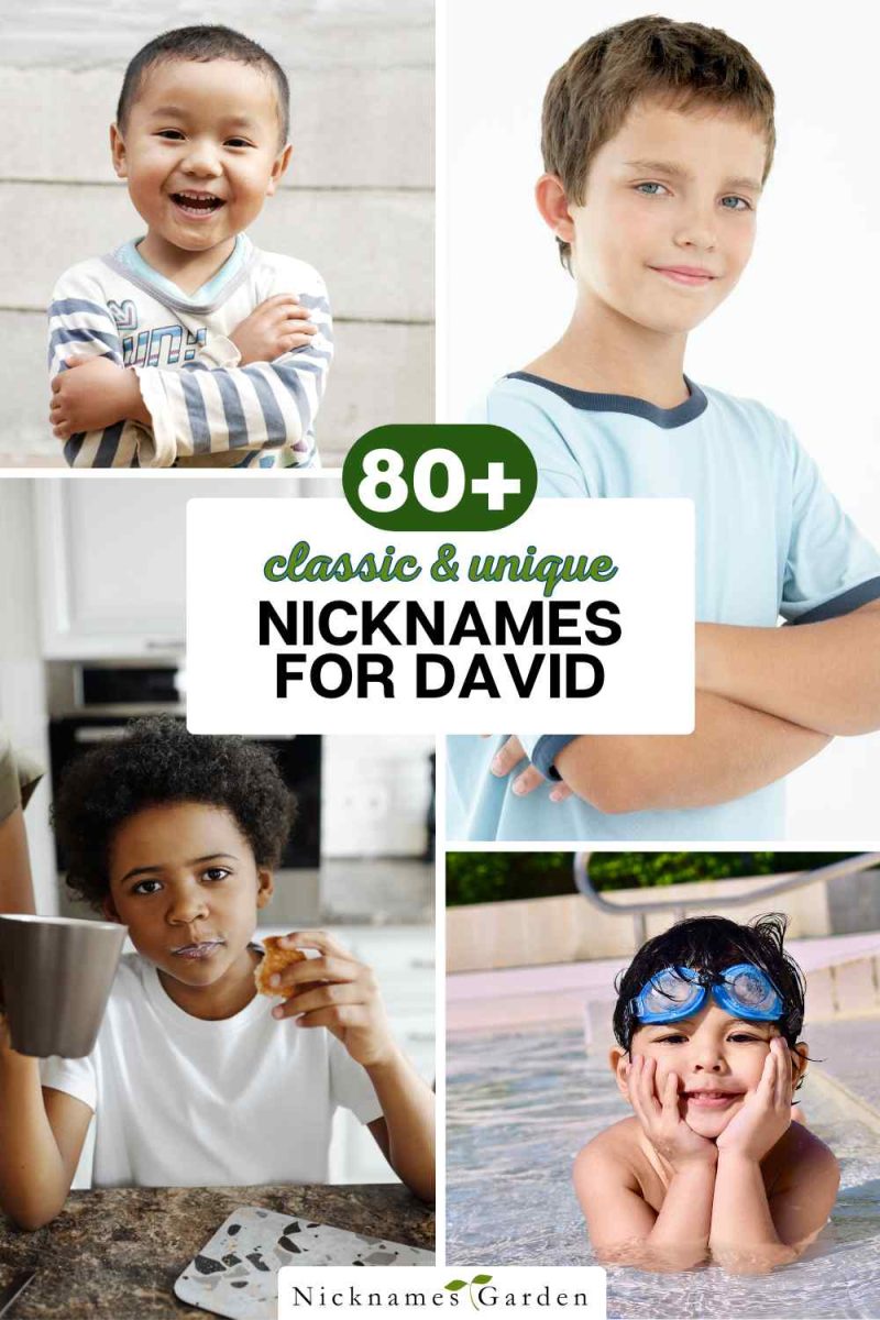 80+ Creative Nicknames For David