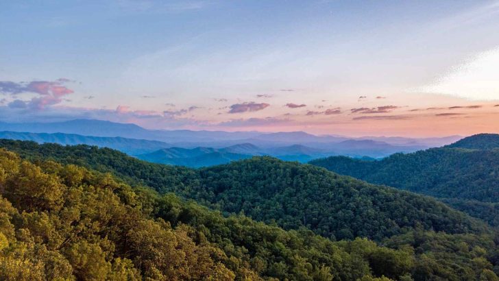 15+ Tennessee Nicknames & Their Origins!