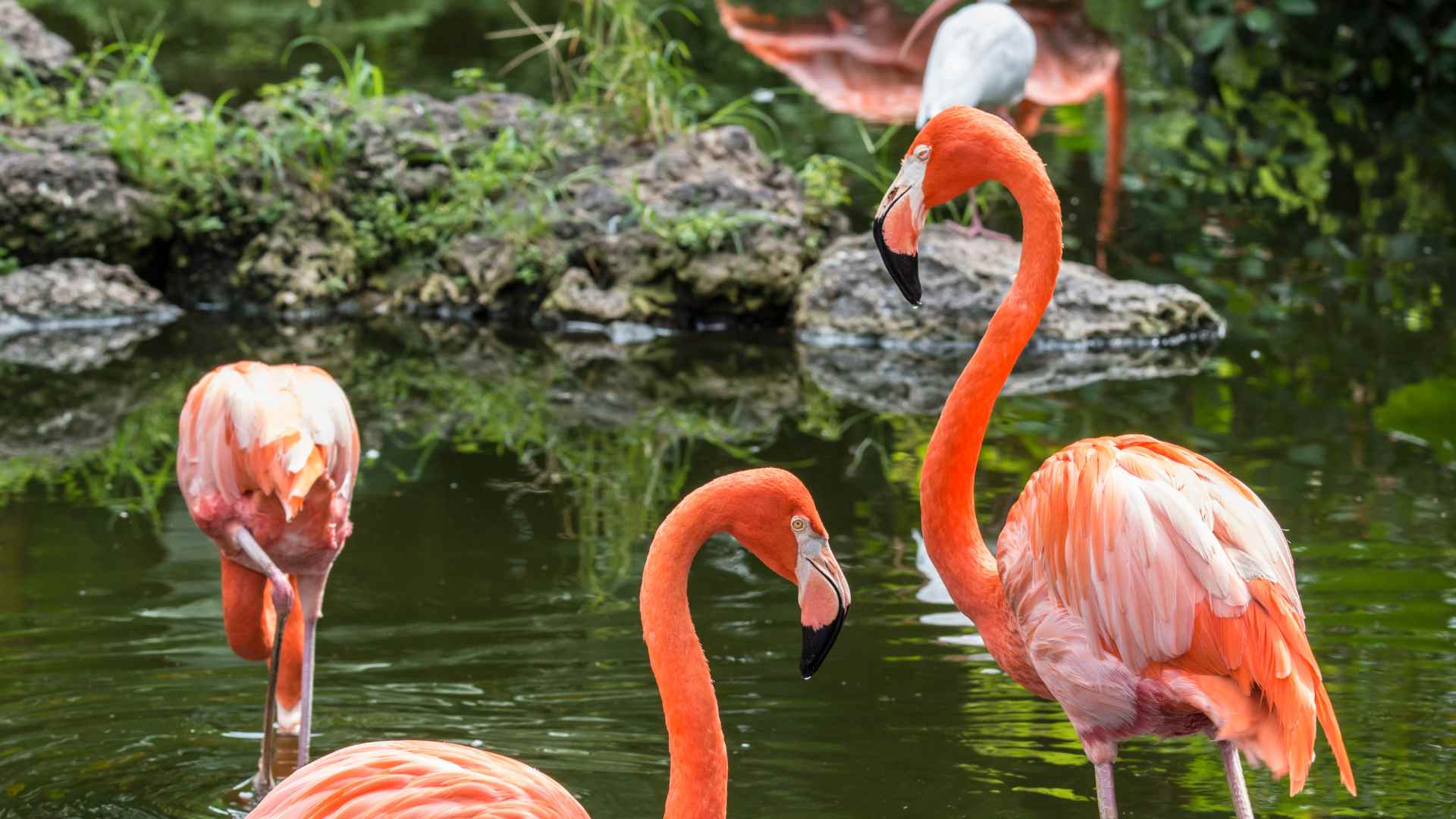 15+ Florida Nicknames & Their Origins