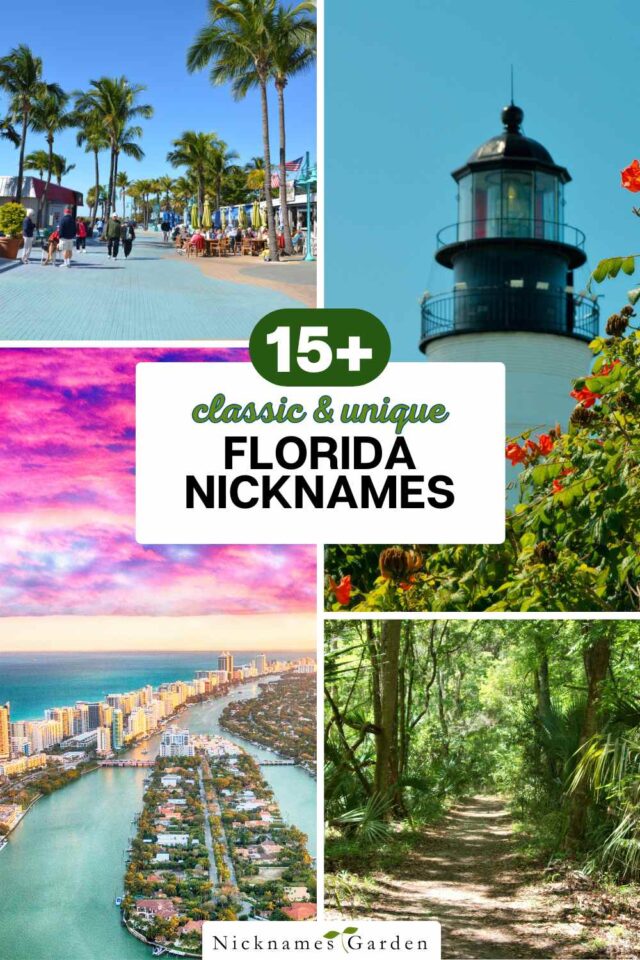 15+ Florida Nicknames & Their Origins