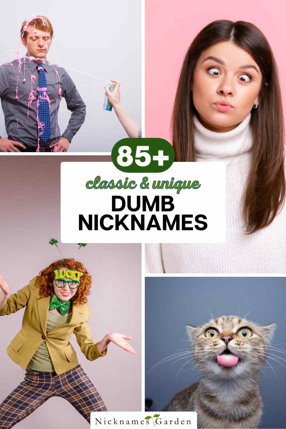 85+ Funny Nicknames For Dumb People