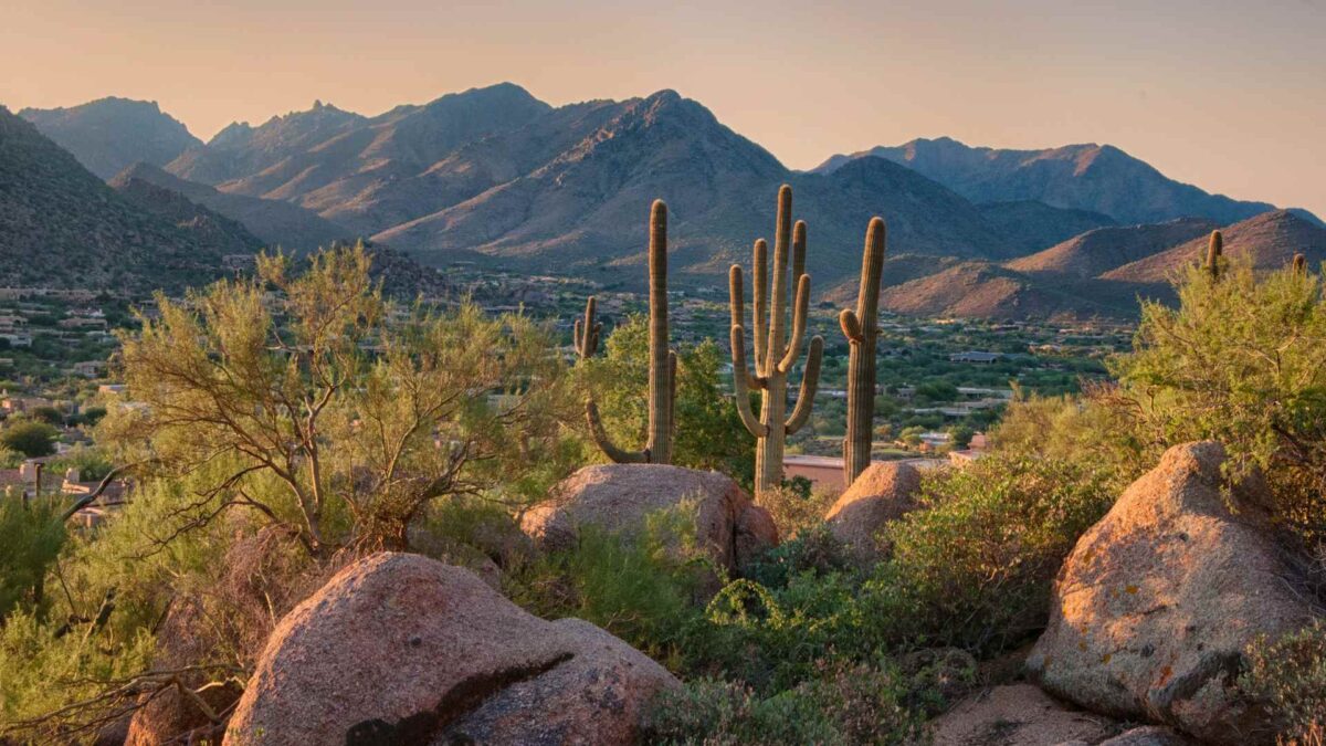 15+ Arizona Nicknames & Their Origins!