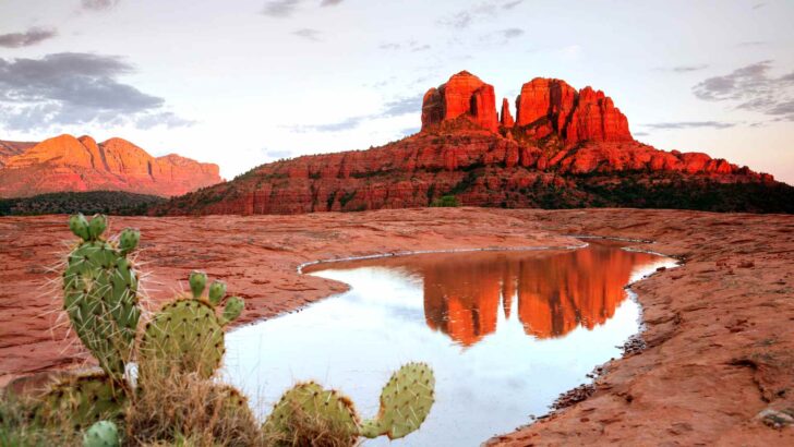 15+ Arizona Nicknames & Their Origins!