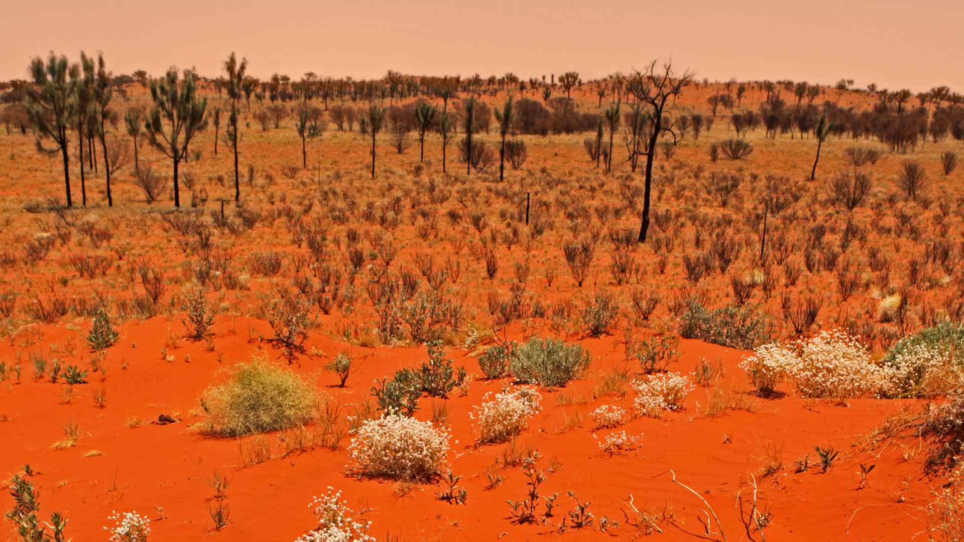 Australian Outback Nicknames That Tell a Story